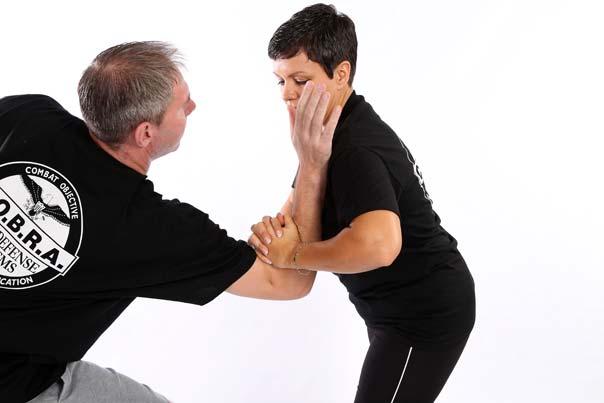 cobra-fighting-system-01 | COBRA Defense